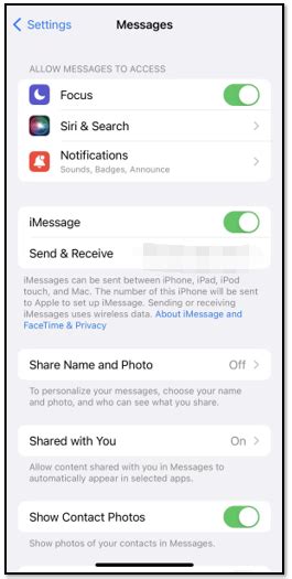 Why Would A Text Message Not Be Delivered On Iphone [reasons And 8 Easy