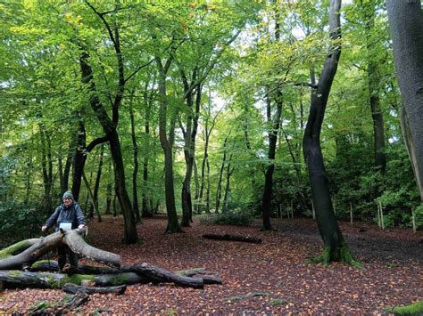 Adventure On The Chiltern Way Mature Times