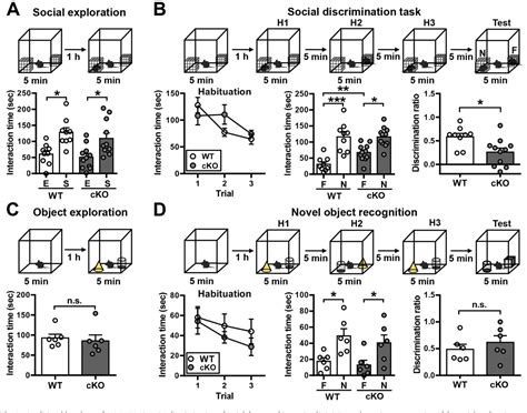 Figure 2 From Loss Of Oxytocin Receptors In Hilar Mossy Cells Impairs