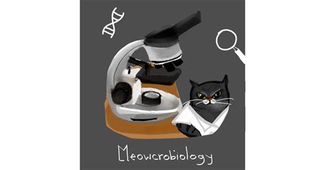 Watch Sybau Arawize Draw Microscope
