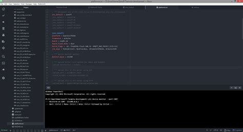 Platformio Stuck In Serial Monitor Issue Arendst Tasmota Github