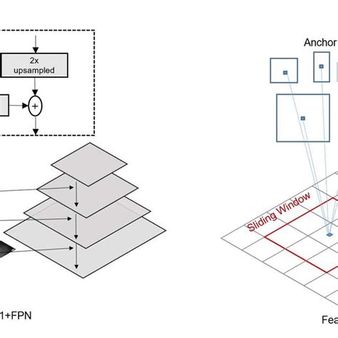 Backbone Network And Region Proposal Network A Backbone Network Is Download Scientific