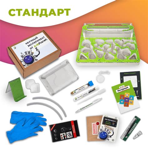 Муравьиные фермы купить в Москве — цены на формикарий с муравьями в ...