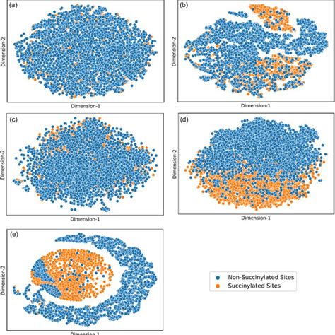 Architecture Of Prot T Based Model Using A Two Layer Artificial Neural
