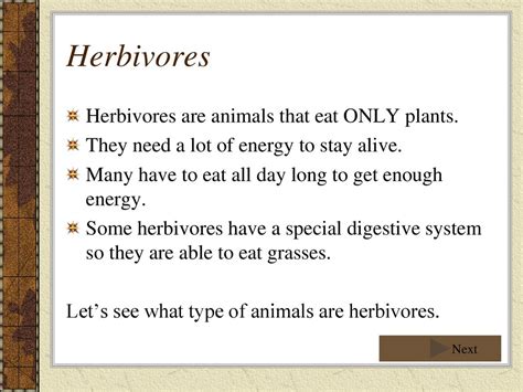 Carnivore Herbivore Omnivore Ppt Download