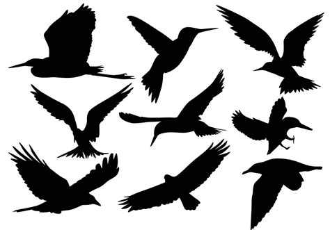 Flying Bird Silhouette Vectors Download Free Vector Art Stock Graphics And Images