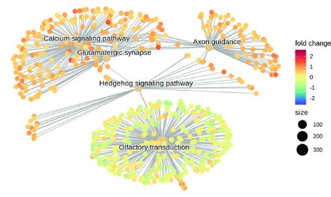 Visualization Of Gene Network Top 5 Significant Gene Clusters Are