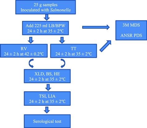 Flowchart Of Culture Methods Download Scientific Diagram