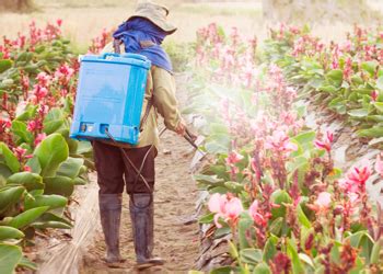 Harrell S Blog Post Monitoring Spray Coverage With Water Sensitive Paper