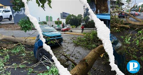 Lluvia En La Ciudad De Puebla Árboles Caídos E Inundaciones