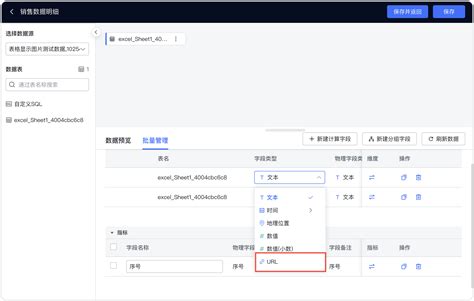 数据集功能设计 dataease 文档