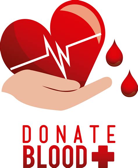 Donation Png Image Png All