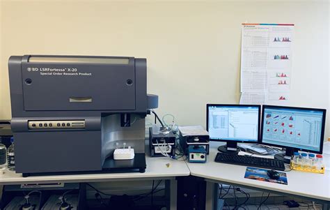 Neuroinflammation Equipments Neurodiderot