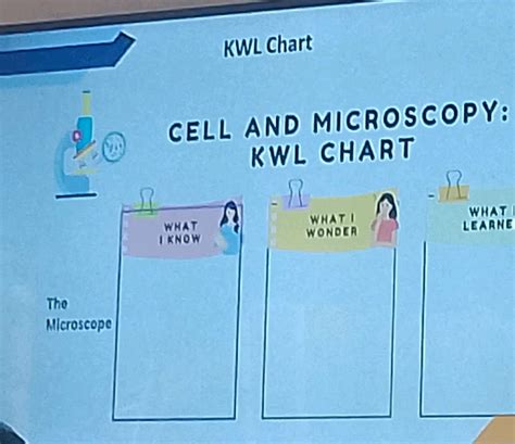 Kwl Chart Cell And Microscopy Kwl Chart Studyx