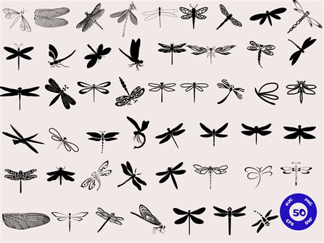 Dragonfly Svg Bundle Dragonfly Clipart Dragonfly Png Dragonfly