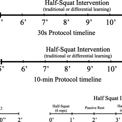 Schematic Representation Of Experimental Design The Protocols Were Download Scientific Diagram