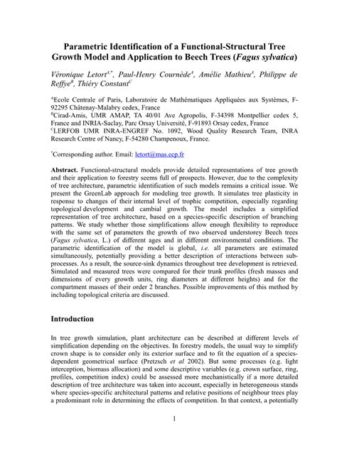 Parametric Identification Of A Functional Structural Tree Growth Model