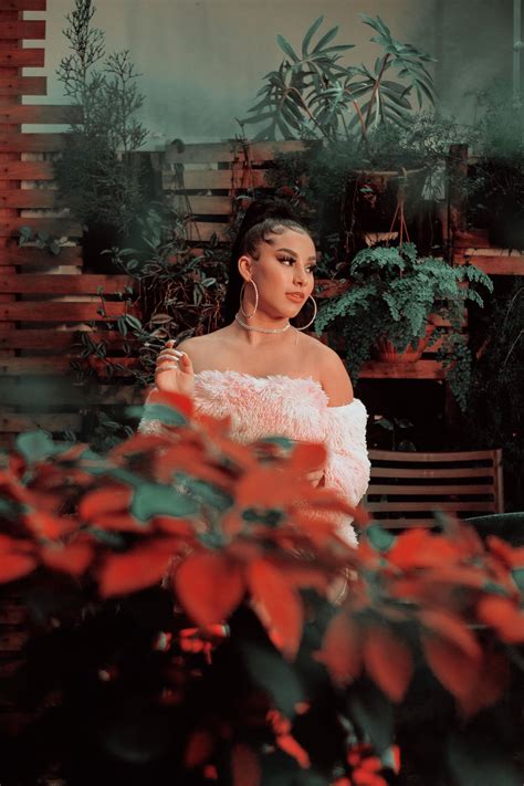 Biotic And Abiotic Components In An Ecosystem Photos Download The Best