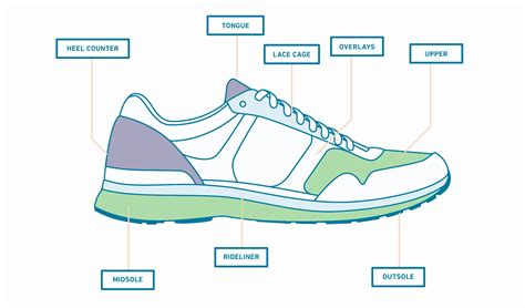 What Are The Parts Of A Shoe Called At Jeffery Vaughn Blog