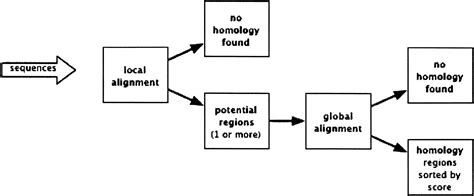 Strategies And Tools For Whole Genome Alignments