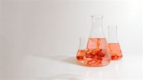 Team Training — The Emotive Lab