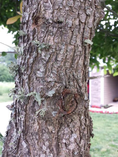 30 Times People Spotted Objects Hiding In Plain Sight Shared In This