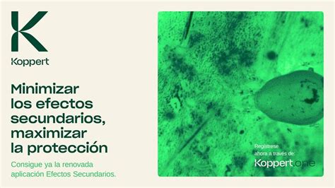 Koppert Añade Nuevas Funciones Y Mejora Con Inteligencia Artificial Su Aplicación De Efectos