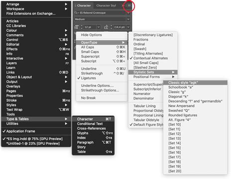 Stylistic Sets Guide Extraset