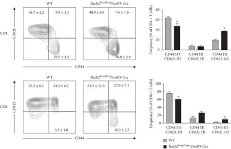 Bach2 Regulates Classical And Regulatory T Cell Homeostasis Download Scientific Diagram