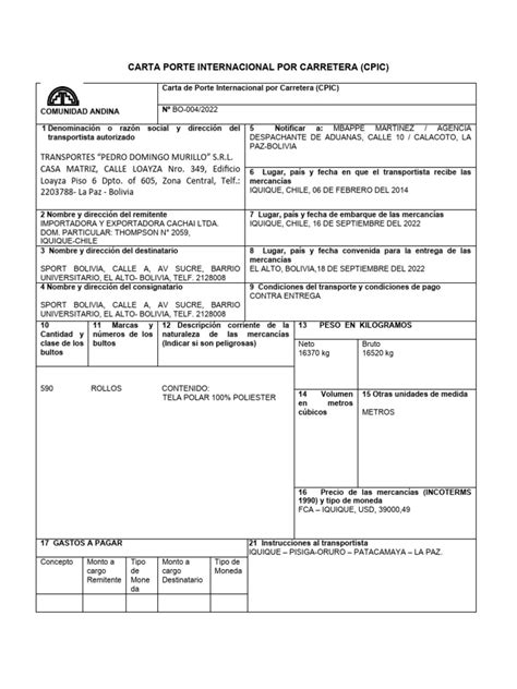 Formatos Llenados Cpic Mic Subir 1 Pdf Bolivia