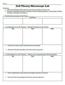 Cell Theory Microscope Lab By Mr And Mrs Rock S Science Shop TpT