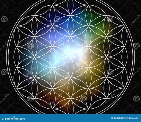 Circles Of Life Stock Illustration Illustration Of Pattern 258988242