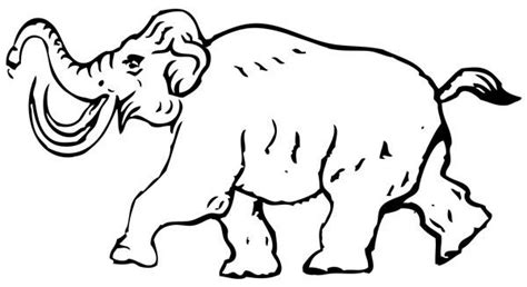 Schwere Panzer Abteilung 502 Mémoires De Guerre