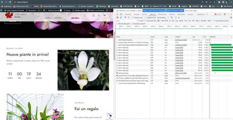My Site Is Loading Slowly On Chrome Devtools I See Va