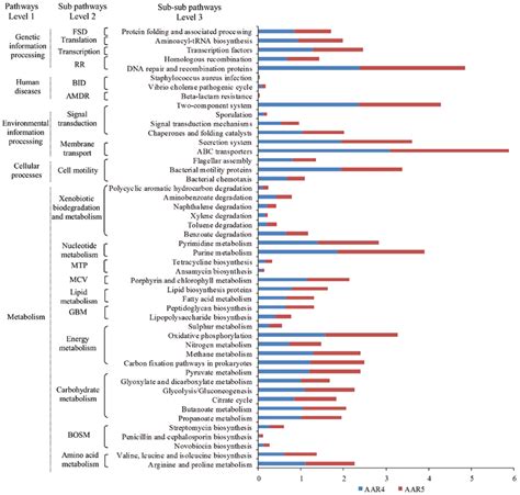 Relative Abundance Of Putative Pathways Of Microbial Communities In Download Scientific Diagram