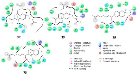 Plants Free Full Text In Vitro And In Silico Study Of The α