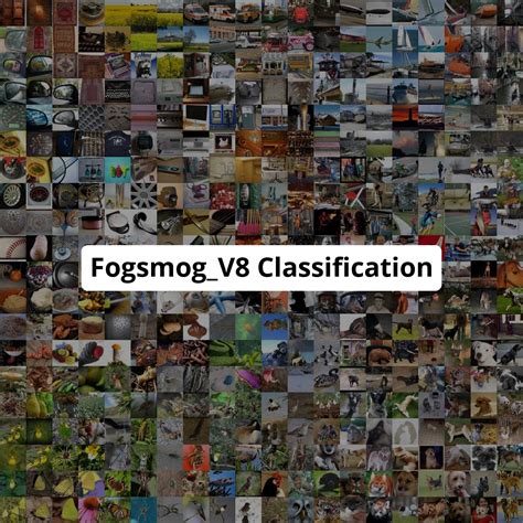 Uisikdag Yolo V8 Fog Or Smog Classification · Hugging Face