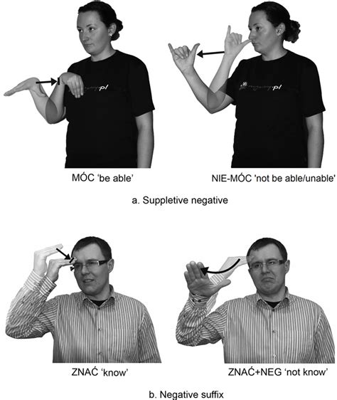 Examples Of A Suppletive Negative And A Negative Suffix The Two