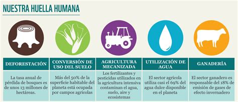 ¿cuáles Son Las Actividades Humanas Que Más Contribuyen A La Huella