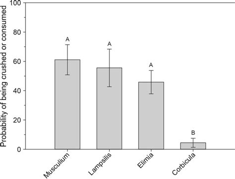 Predation Risk Probability Of Being Crushed Or Consumed Among Mollusk