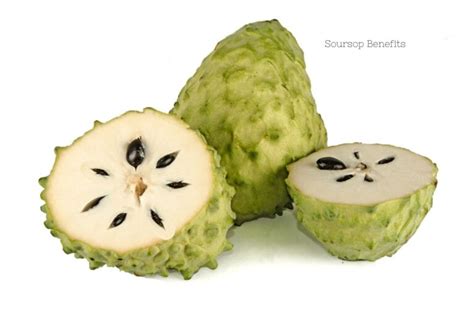 How Often Should You Drink Soursop Tea Benefits And Uses