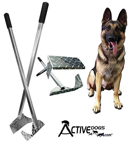 10 Best Pooper Scoopers For 2025 Improve Dog Cleanup Routine