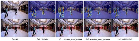 Mscd Yolo A Lightweight Dense Pedestrian Detection Model With Finer Grained Feature Information