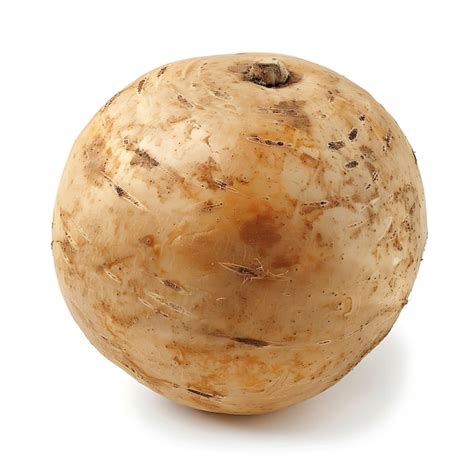 Premium Photo Jicama Root Vegetable Round Shape Characterized By Its
