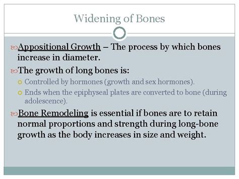 Skeletal System Notespart 2 Bone Formation Ossification The