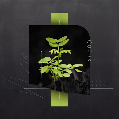 5 Things You Should Know About Sanctification