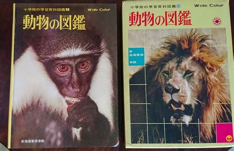 小学館の学習百科図鑑5 動物の図鑑 全240ページうちカラーページが半分程 監修理学博士 今泉良典 国立科学博物館動物研究部長 図鑑 売買さ
