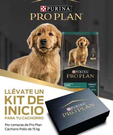 Veterinaria Agrosuni La Experiencia A Tu Lado