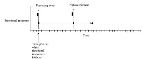 7 Illustration Of A Preceding Event And Anticipated Stimulus Event Download Scientific