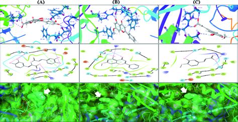 In Silico Binding Poses Of A Rosmarinic Acid B Techtochrysin And Download Scientific